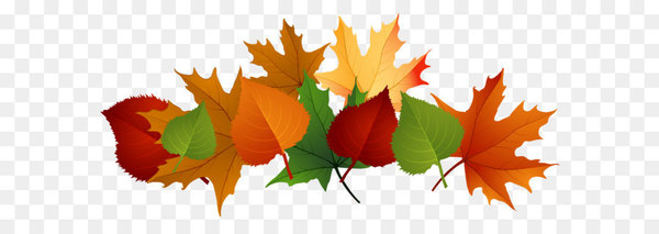 Free: Autumn leaf color Clip art - Fall Leaves PNG Picture - nohat.cc