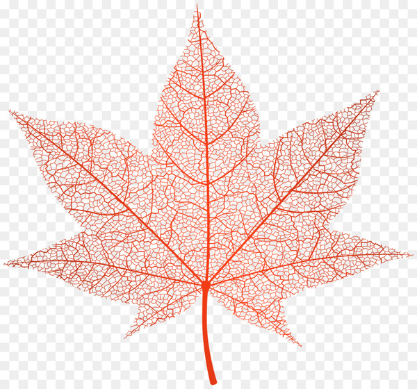 Free: Autumn leaf color Clip art - leaves - nohat.cc