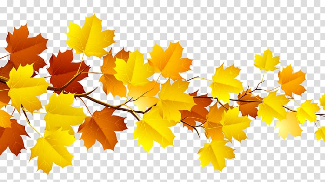Free: Autumn leaf color , Fall Season transparent background PNG ...