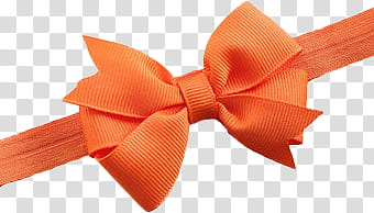 Free: Autumn, orange ribbon transparent background PNG clipart - nohat.cc