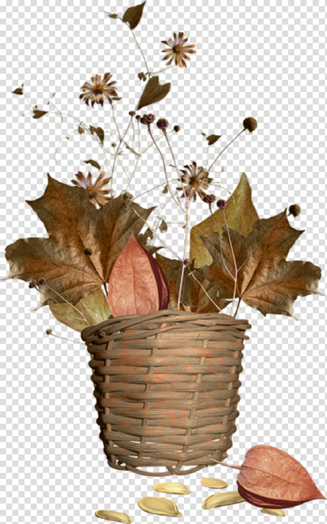 Free: Autumn Season Squirrel Blog, deco transparent background PNG ...