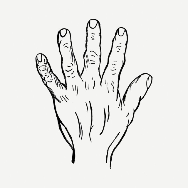 Free: Back of hand drawing, vintage | Free PSD - rawpixel - nohat.cc