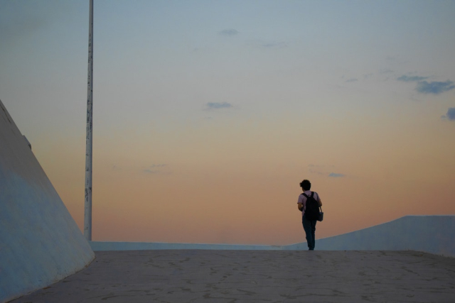 Free: Back View Photo of Person Standing Alone During Golden Hour ...