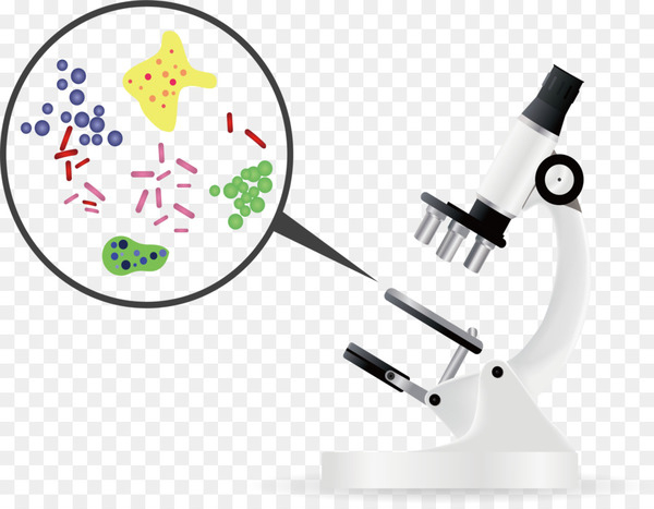 Free: Bacteria Microorganism Microscope Euclidean vector ...