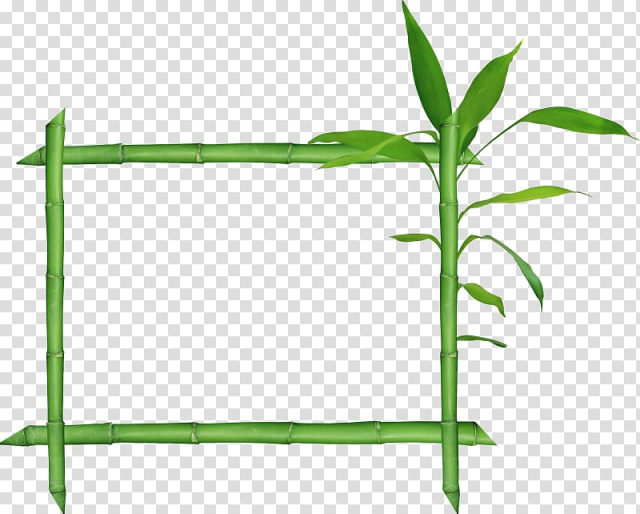 Free: Bamboo Raster graphics , bamboo frame transparent background PNG ...