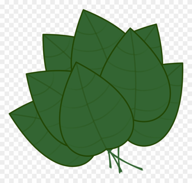 Free: Basil Leaf Clip Art - nohat.cc