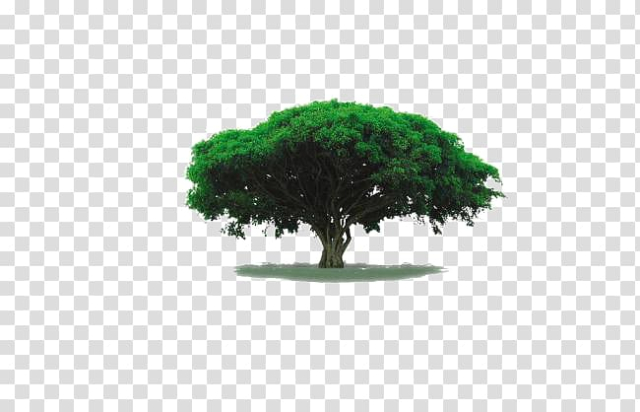Free: Battery charger Tree Power supply, tree transparent background ...