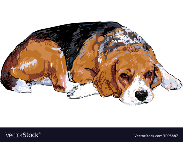 Free: Beagle vector image - nohat.cc