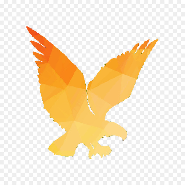 Free: Beak Bird of prey Fauna Font - - nohat.cc