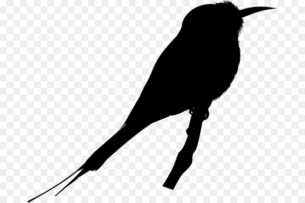 Free: Beak Silhouette Font - - nohat.cc