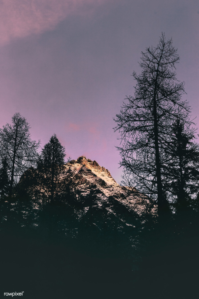 Free: Beautiful pink sky wallpaper | Free stock photo - 546919 - nohat.cc