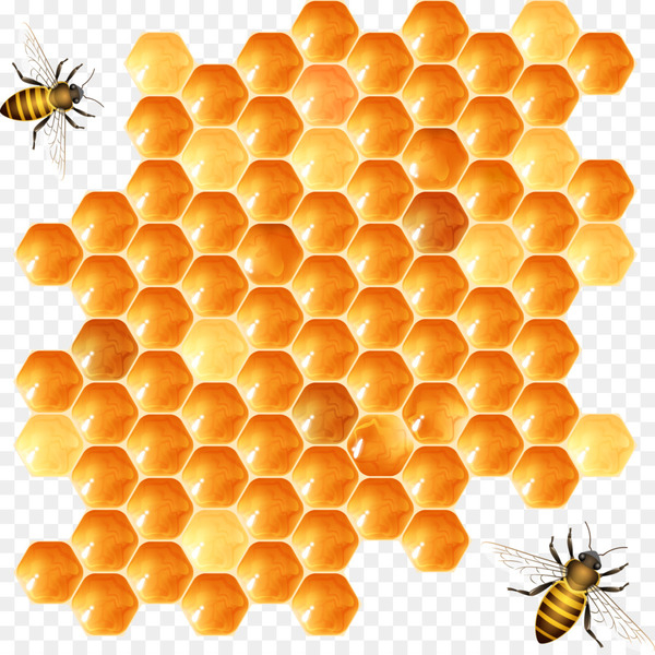Free: Beehive Honeycomb - Bee hive design vector material - nohat.cc