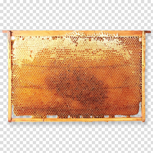 Free: Beekeeper Honeycomb Hive frame, bee transparent background PNG ...