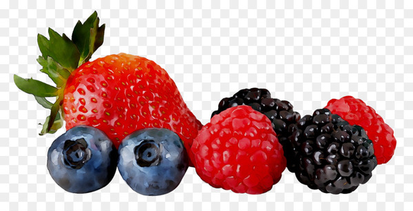Free: Berries Portable Network Graphics Sorbet Juice Fruit - - nohat.cc