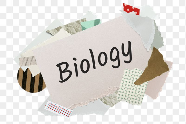 Free: Biology png word sticker, aesthetic | Free PNG - rawpixel - nohat.cc