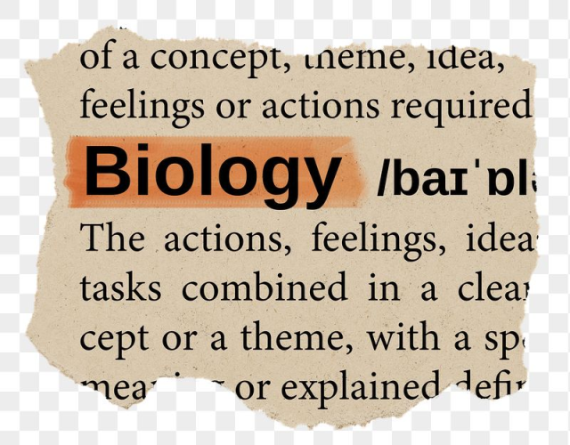 Free: Biology png word sticker, torn | Free PNG - rawpixel - nohat.cc