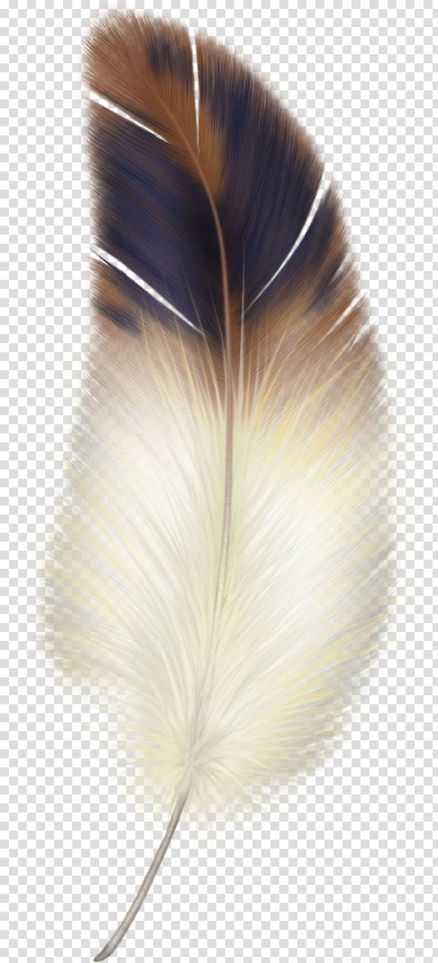 Watercolor Feather Clip Art