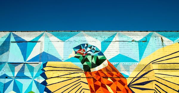 Free: bird mural during daytime - nohat.cc