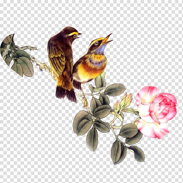 Free: Birds and Flowers transparent background PNG clipart - nohat.cc