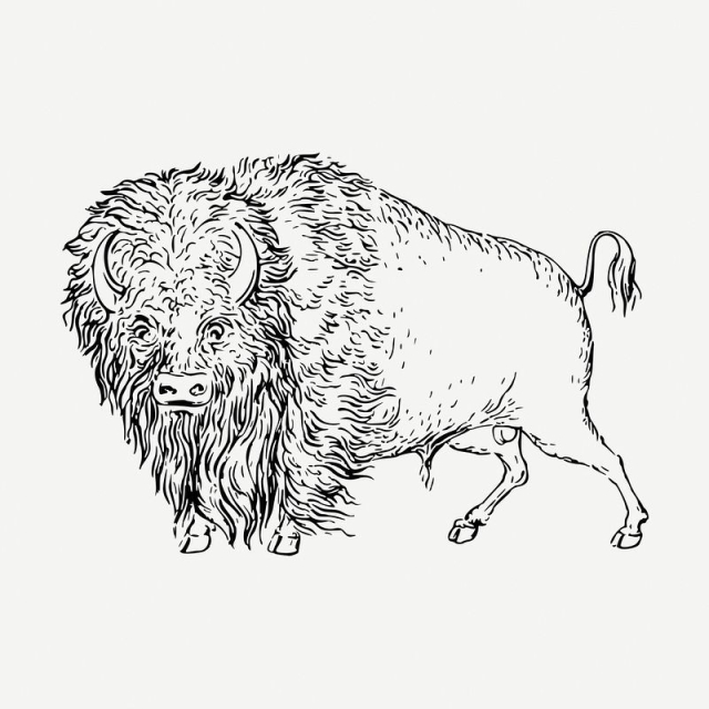 Free: Bison animal drawing, vintage illustration | Free PSD - rawpixel ...