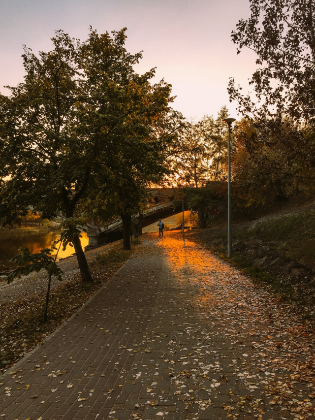 Free: Black and Red Metal Frame - nohat.cc