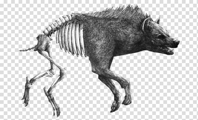 Free: Black and white Drawing Painting Art Illustration, Simple black ...