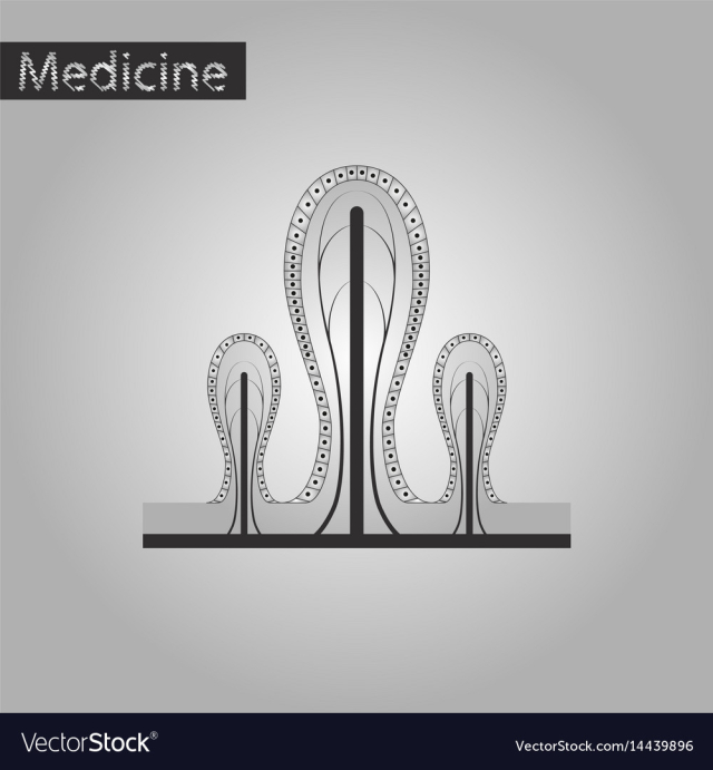 Free: Black and white style icon of intestinal villi vector image ...