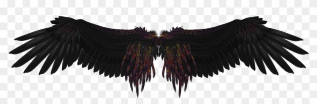 Black Angel Wings Transparent