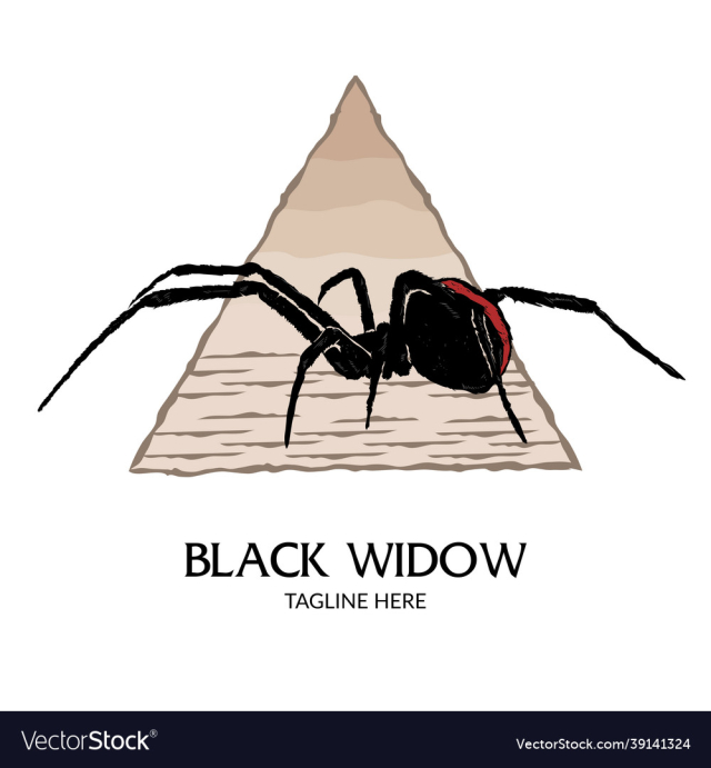 Free: black widow spider logo design - nohat.cc