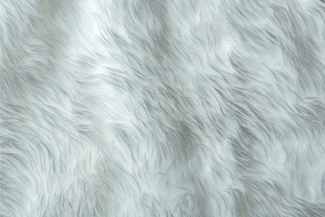 Free: Blue fur texture background | Free Photo - rawpixel - nohat.cc