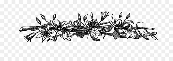 Free: Border Flowers Black and white Clip art - flower - nohat.cc