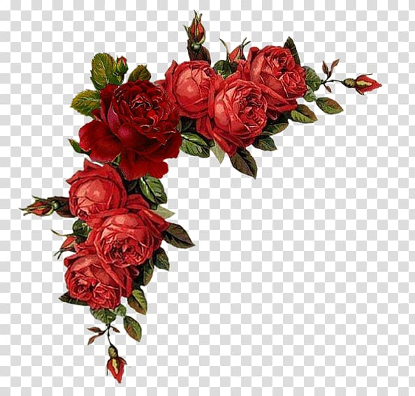 Red Flower Borders Clip Art