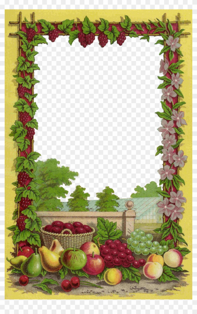 Free: Borders/frames - Fruits Borders And Frames - nohat.cc