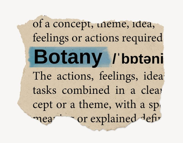Free: Botany ripped dictionary, editable word | Free PSD - rawpixel ...
