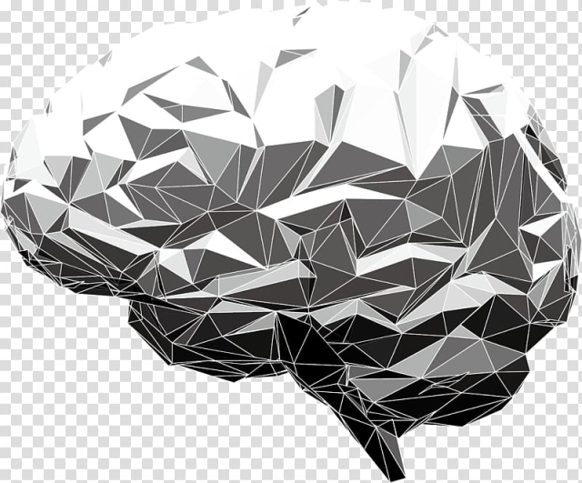 Free: Brain , Human brain Abstract Illustration, human brain model ...