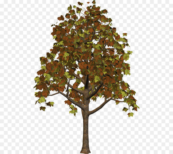 Free: Branch Trunk Leaf Plane trees - Large Fall Tree PNG Clipart ...