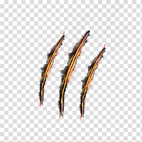 Free: Brown and black scratches illustration, The Werewolves of Millers ...