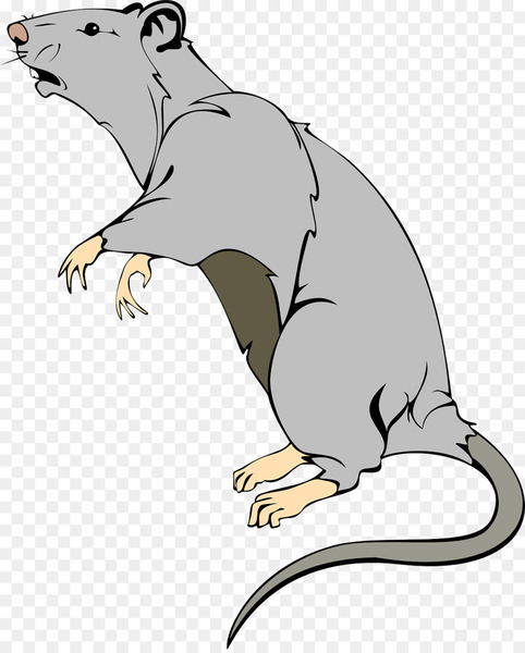 Free: Brown rat Mouse Laboratory rat Clip art - rat - nohat.cc