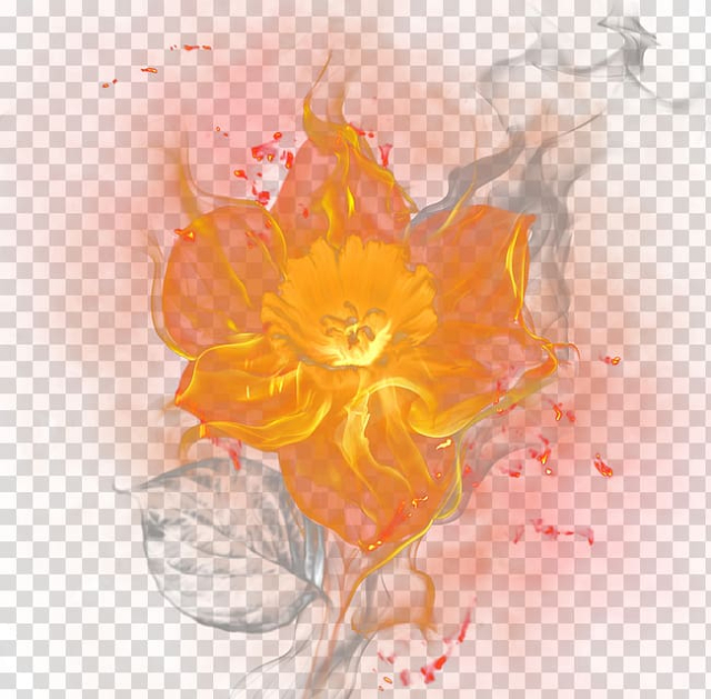Free: Burning Flowers transparent background PNG clipart - nohat.cc