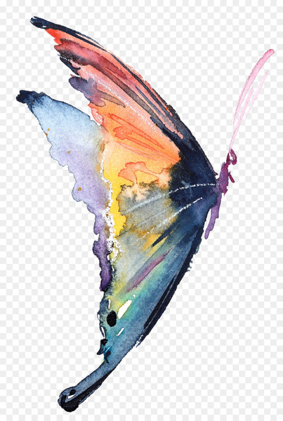 Free: Butterfly Carolynn's Reflexology Watercolor painting Insect ...