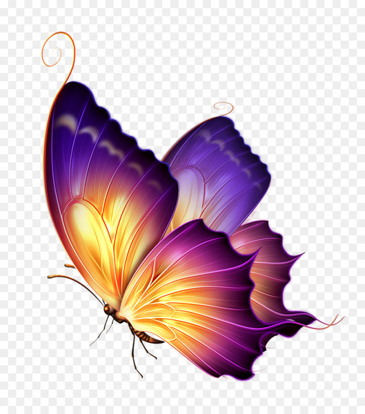Free: Butterfly Color Purple Clip art - Purple Butterfly - nohat.cc