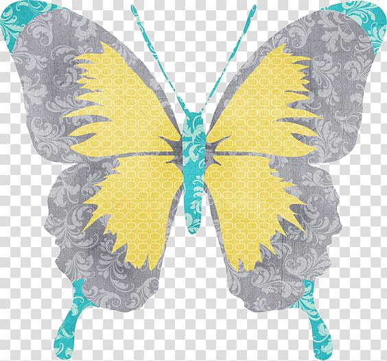 Free: Butterfly Drawing Paper , butterfly transparent background PNG ...