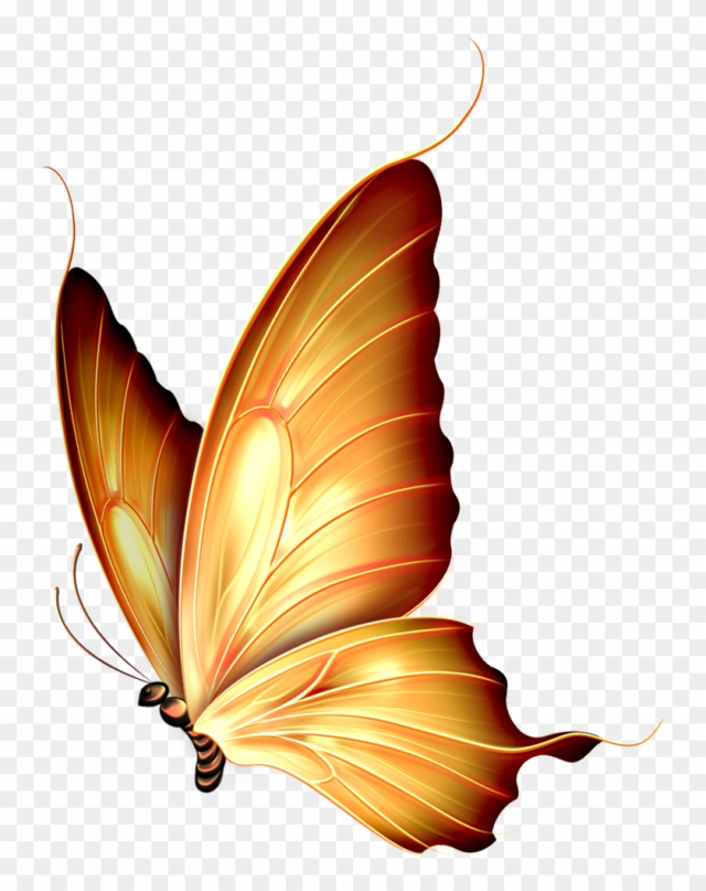 Free: Butterfly Insect Clip Art - Butterfly Insect Clip Art - nohat.cc