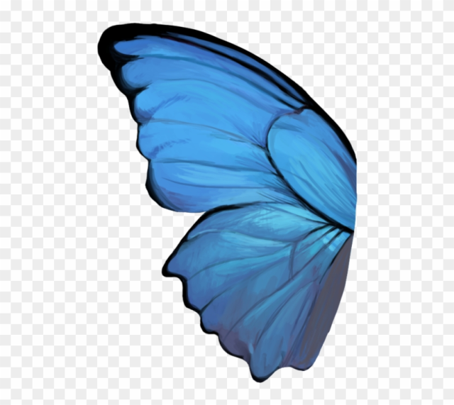 Free: Butterfly Wing - Butterfly Wing Png - nohat.cc