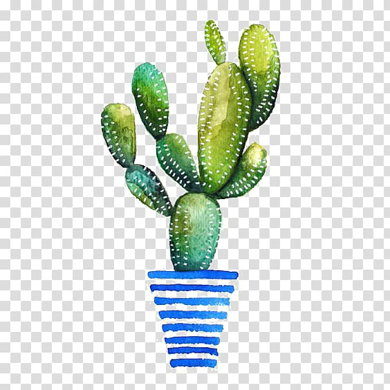 Free: Cactus plant illustration, Watercolor painting Cactaceae Drawing ...