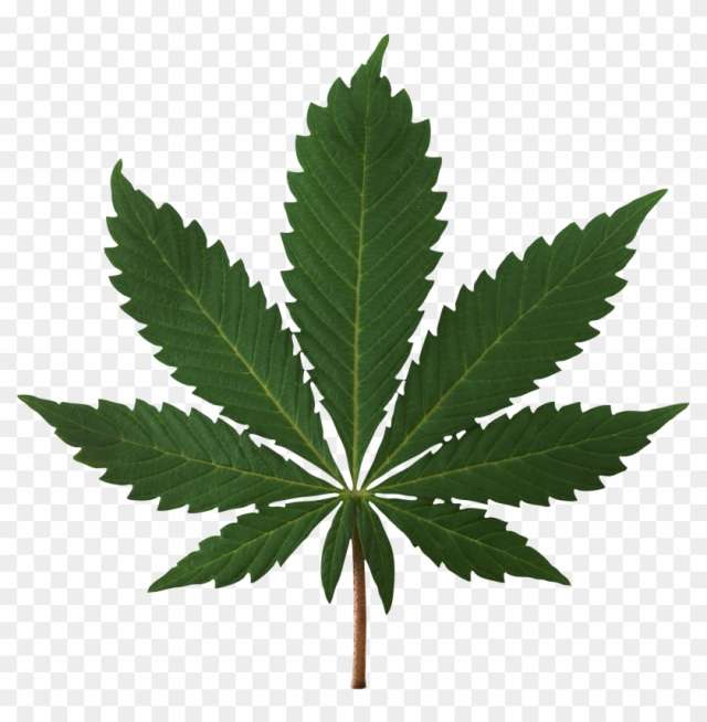 Pot De Cannabis Png