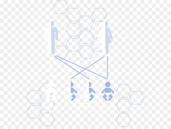 Free: Carrier testing Genetic disorder Disease Genetic carrier Pathway ...