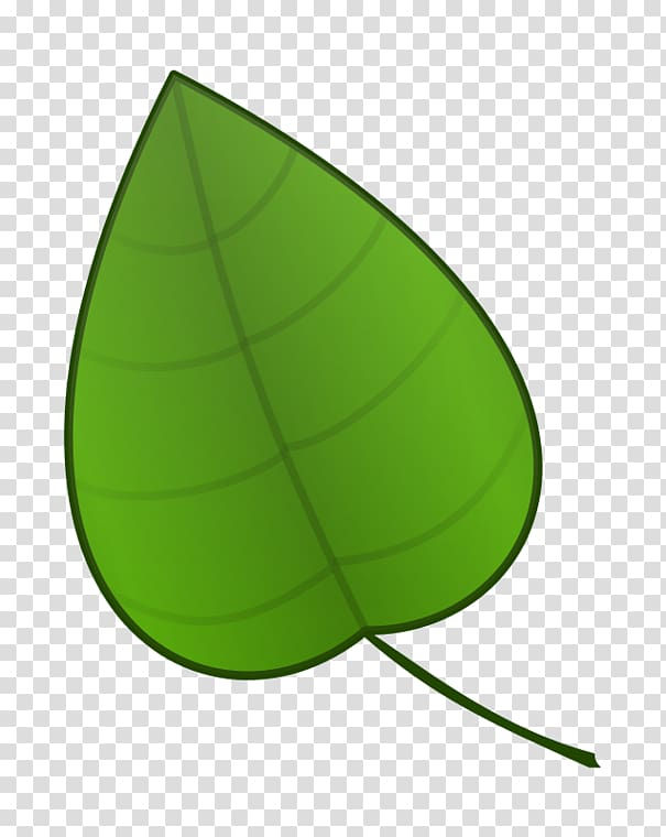 Free: Cartoon Leaf , Leaf transparent background PNG clipart - nohat.cc