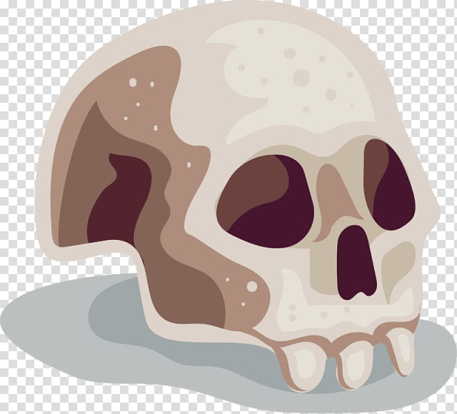Free: Cartoon skull transparent background PNG clipart - nohat.cc