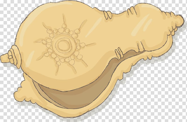 Free: Cartoon Watercolor painting Seashell, shell transparent ...